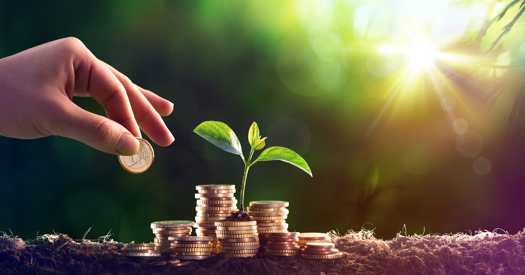 The CCR Group is supporting the world’s largest fund dedicated to low ...